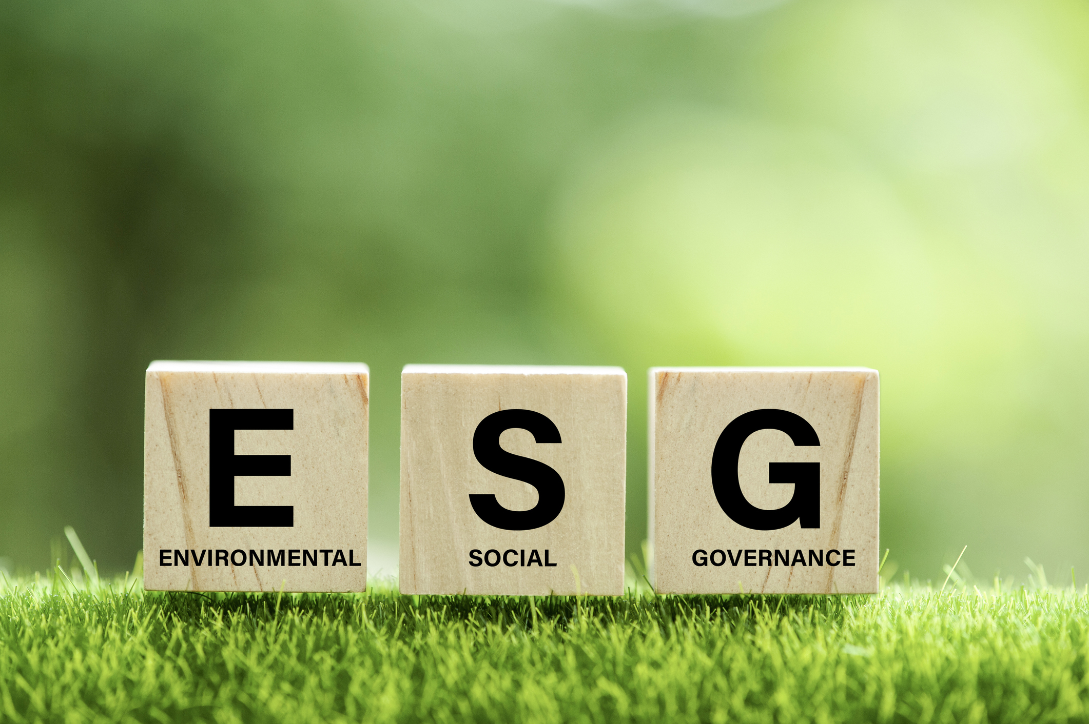 ESGs : Investing in a Currency Beyond Money - Fraud Sniffr ...